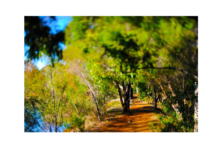 Cape Lodge, a boutique hotel in Margaret River